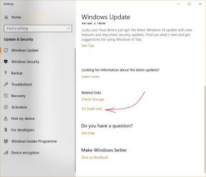 How To Download Windows 10 Updates Manually (And Install ...