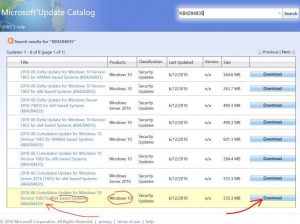 How To Download Windows 10 Updates Manually (And Install ...