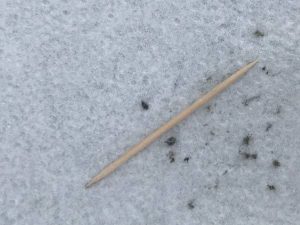 Clean iPhone cable or port to fix intermittent charging - TheTechMentor.com